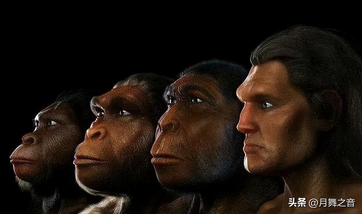 As human beings continue to evolve, you may look like this. Can you ...