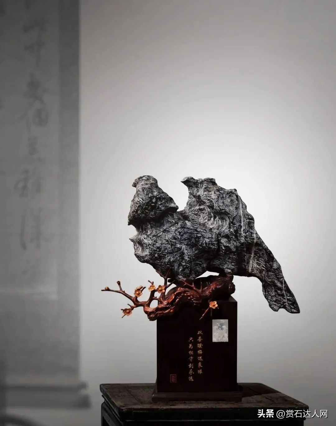 How to appreciate strange stones (Part 1) - iNEWS