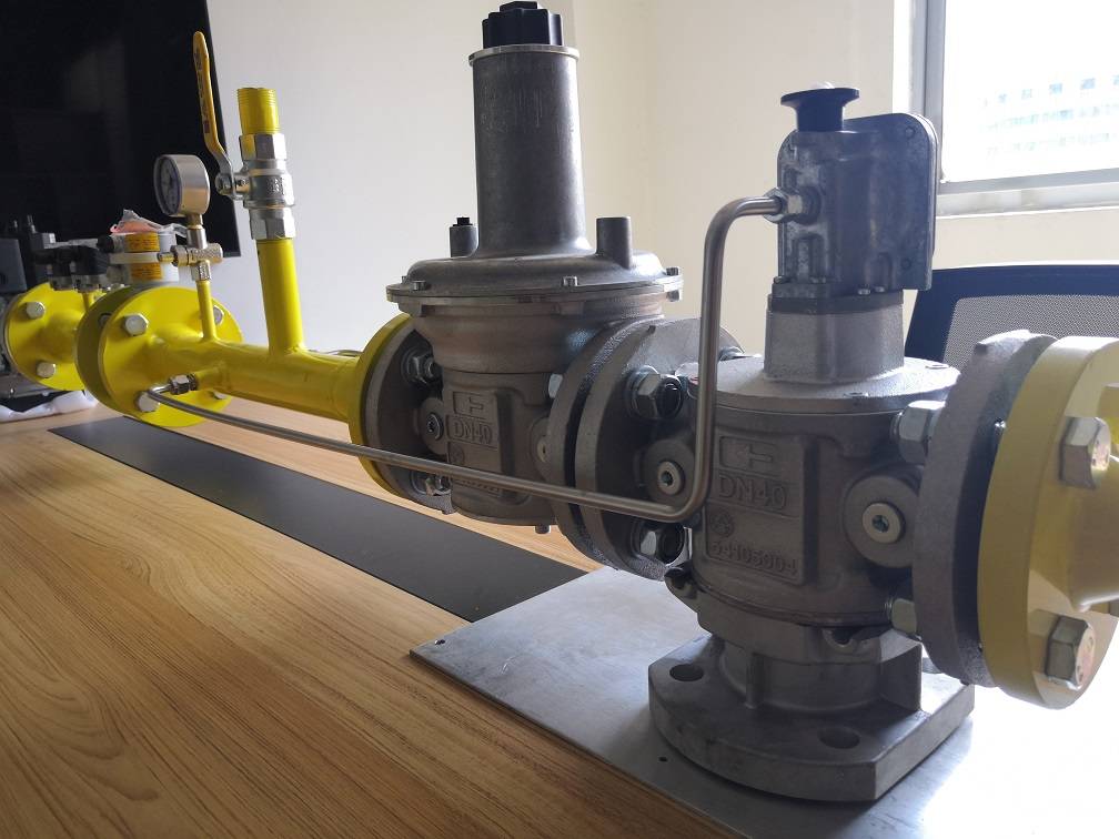 What are the components of the natural gas mains system? - iNEWS