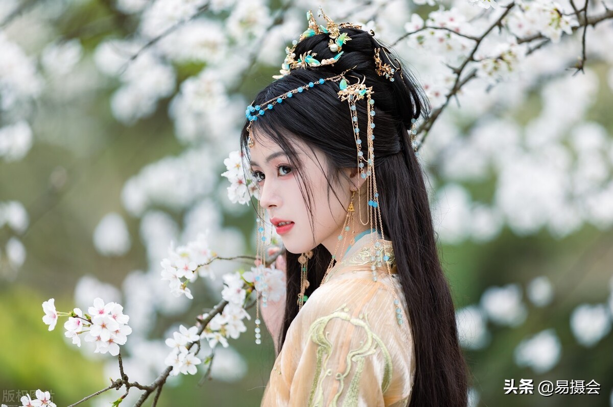 Picture appreciation-beautiful Hanfu under the cherry tree - iNEWS