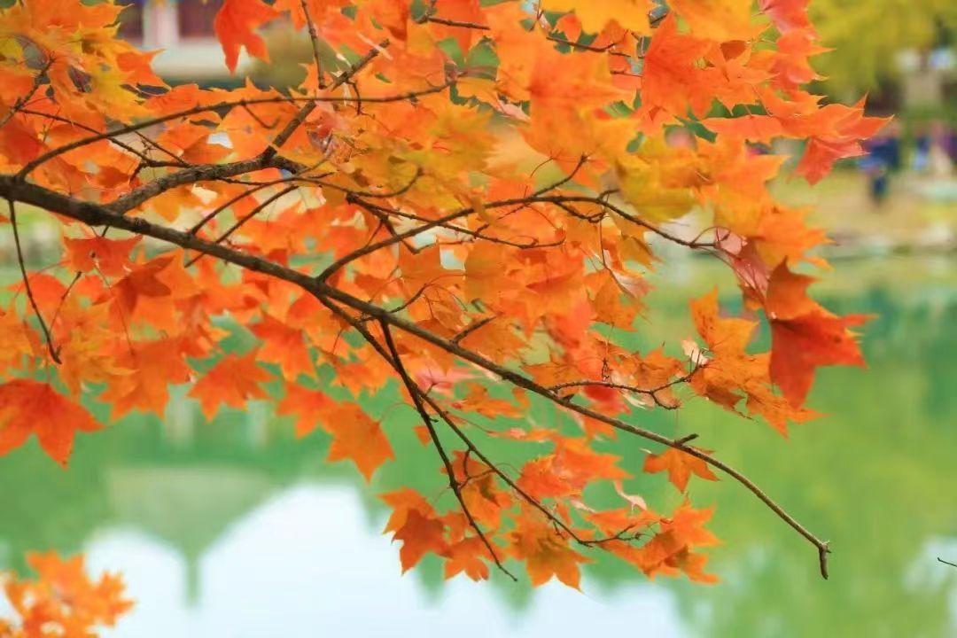 The autumn wind rises tonight, as if you and I first met - iNEWS