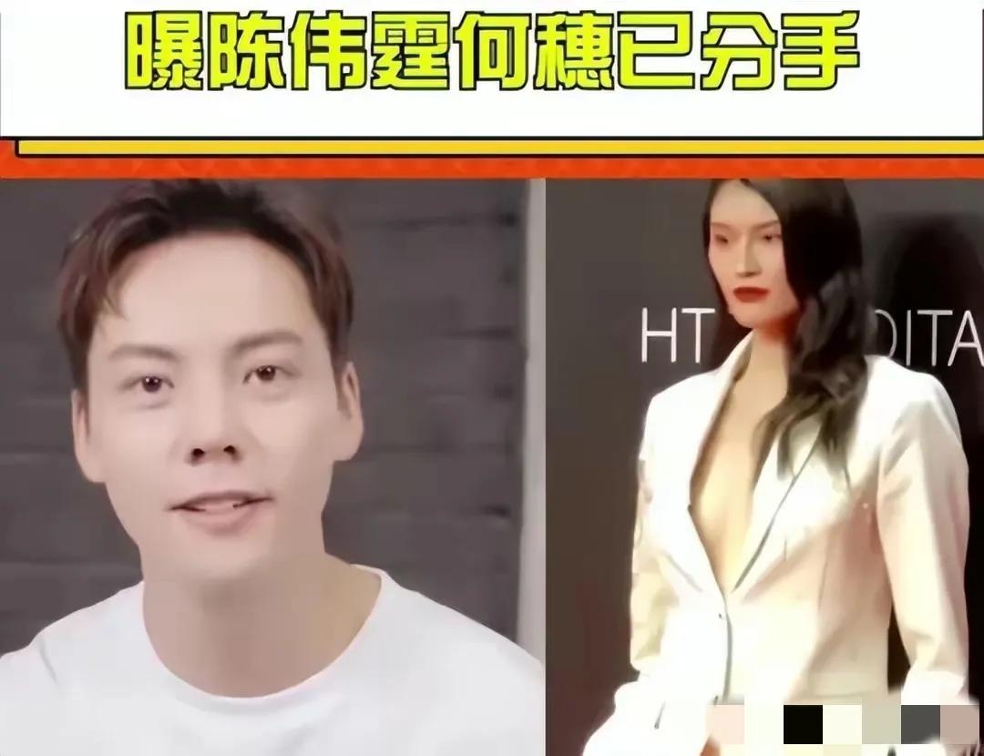 William Chan is suspected to have broken up with He Sui? Netizens said ...