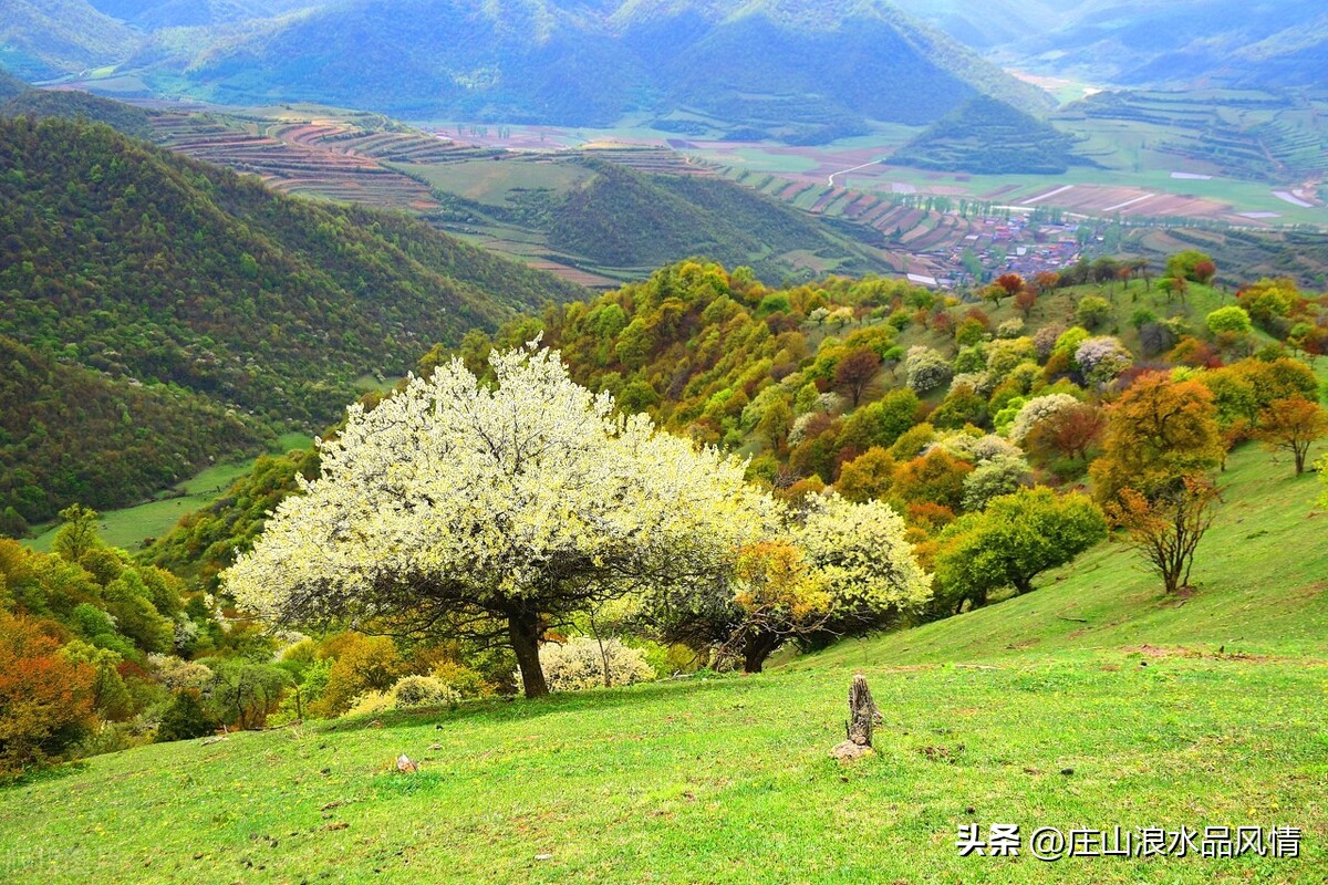 [Legend of Zhuanglang]——Yinma Spring - iNEWS