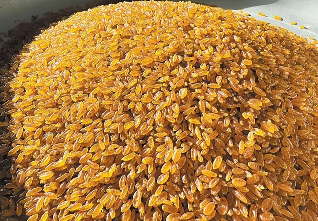 "Original"Mulanhualing·Turn Potatoes into Rice (Tongyun) - iNEWS