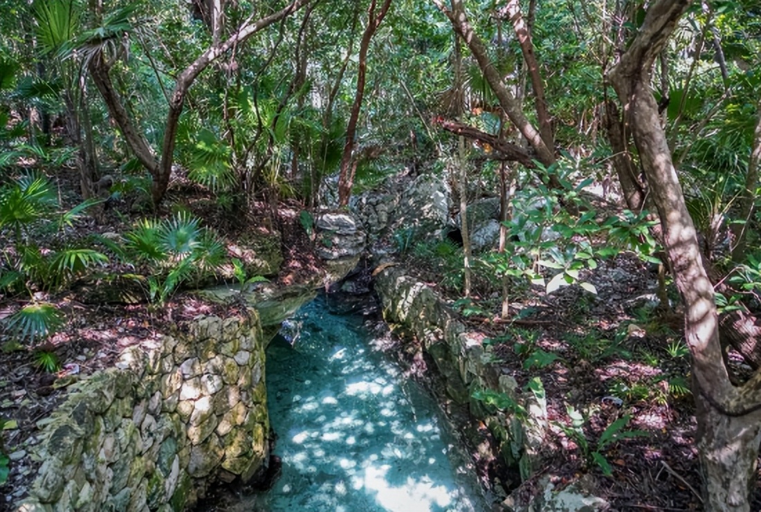 Mexico: A Mysterious Tour of the Rainforest - iNEWS