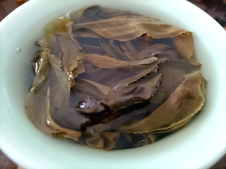 Tasting Nannuo Mountain Ancient Tree Tea - iNEWS