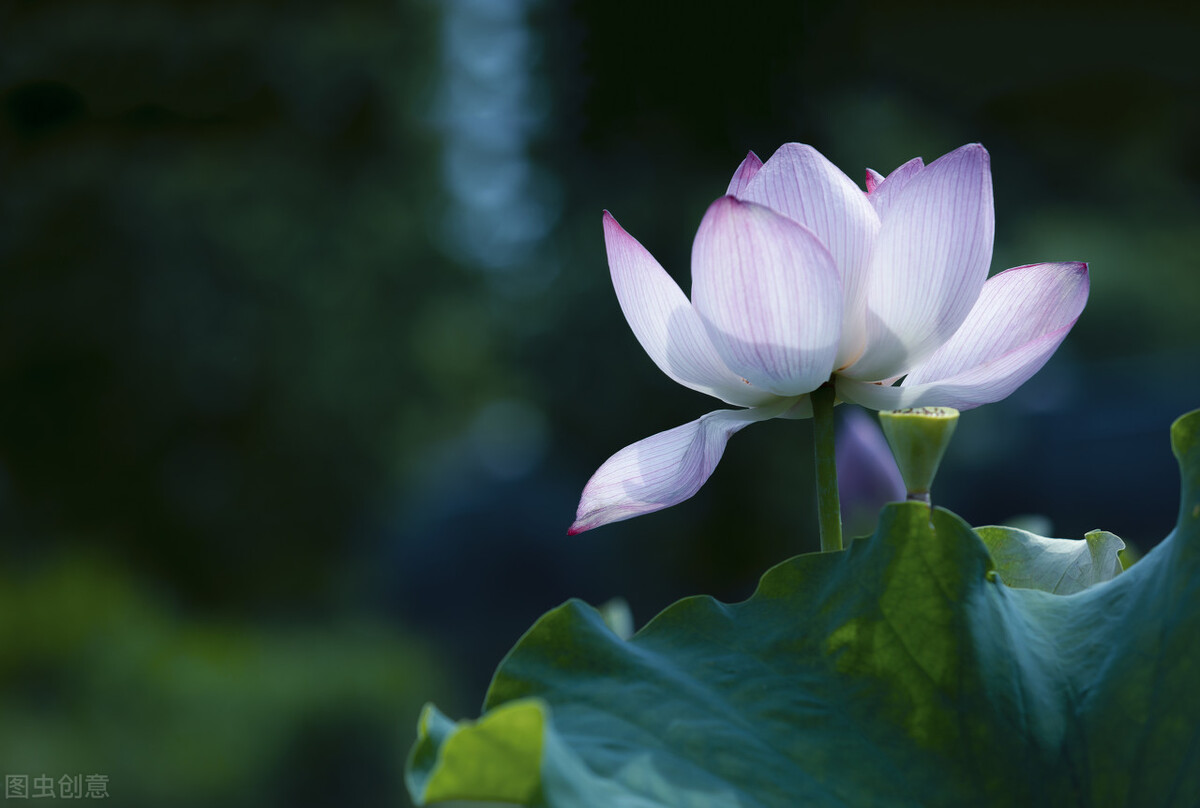 In chapter 59 of the Tao Te Ching, a core keyword is the great wisdom ...