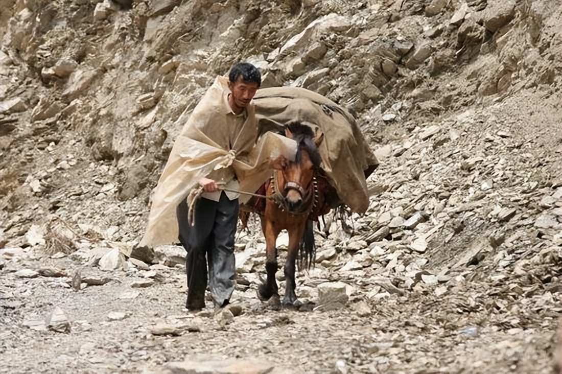 "That Mountain, That Man, That Dog" and "The Messenger of Shambhala ...