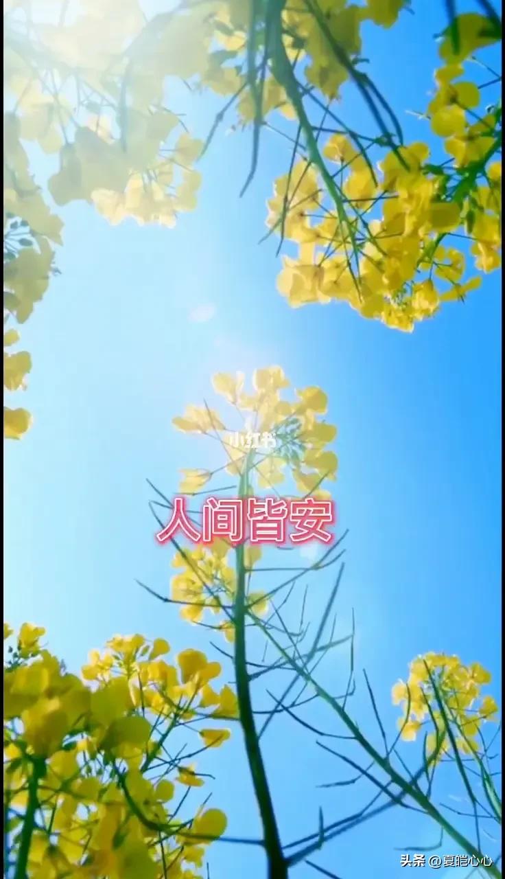 Why is life so heavy, may the world be safe - iMedia