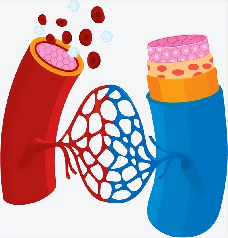 Human blood is red, why do veins look blue? - iNEWS