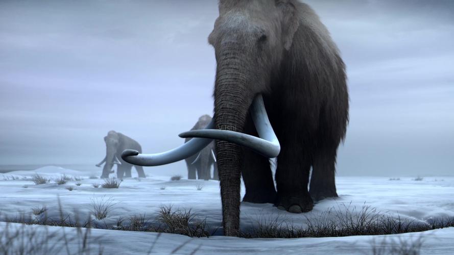 "Mammoth meatballs", is cultivated meat magical or terrible? - iNEWS