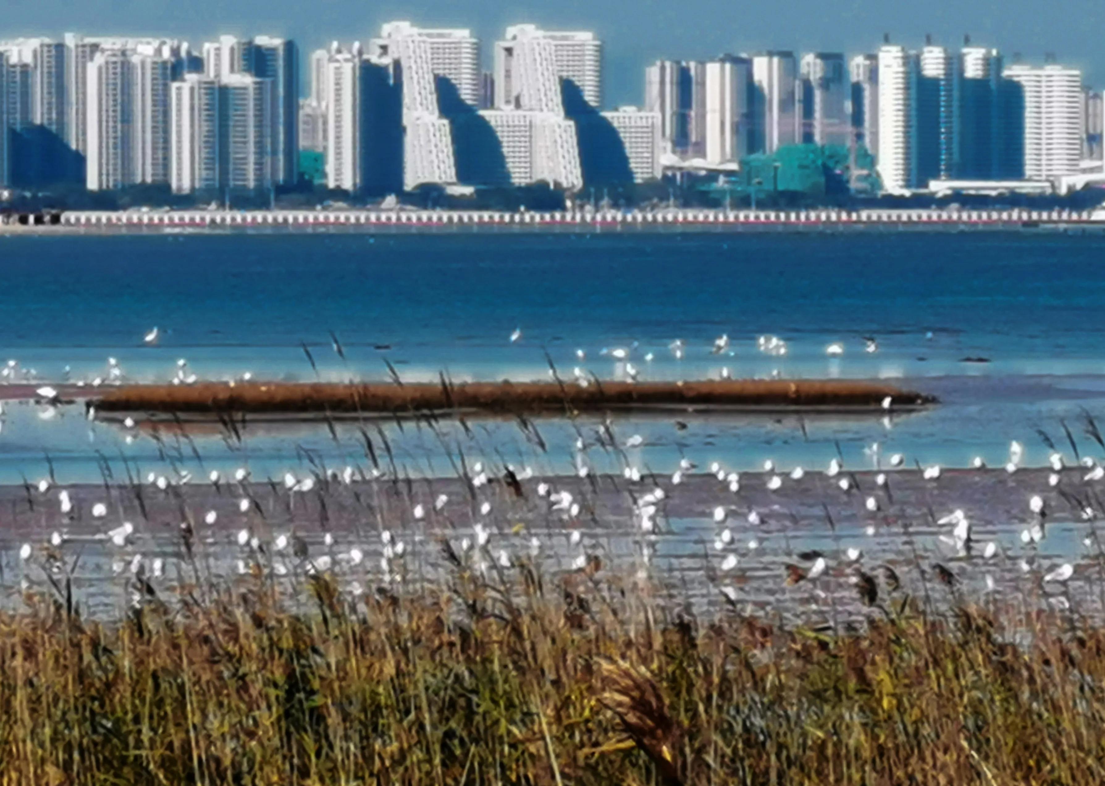 Nine Beidaihe Coastlines of Mainland China - iNEWS