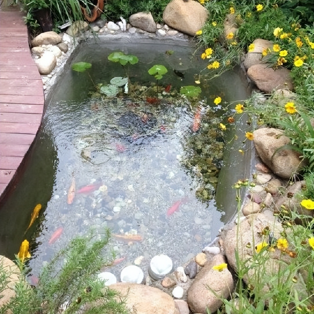 Nanlin courtyard "dry goods" in early September, the autumn wind is ...