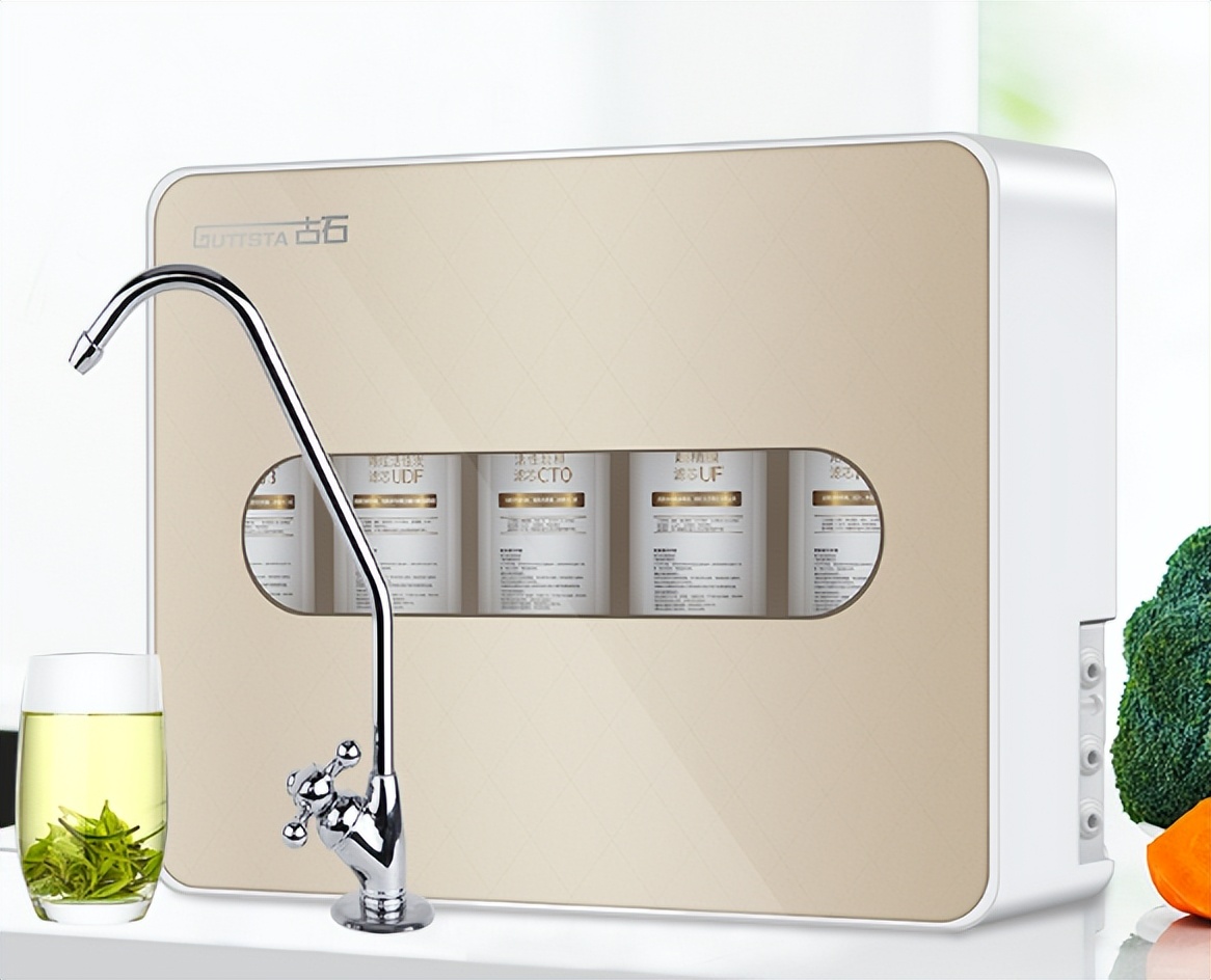 Top 10 Imported Household Water Purifiers Ranking, Which Imported ...