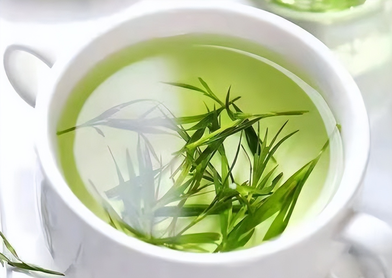 Zhuyeqing: A green legend that has passed through the years - iNEWS