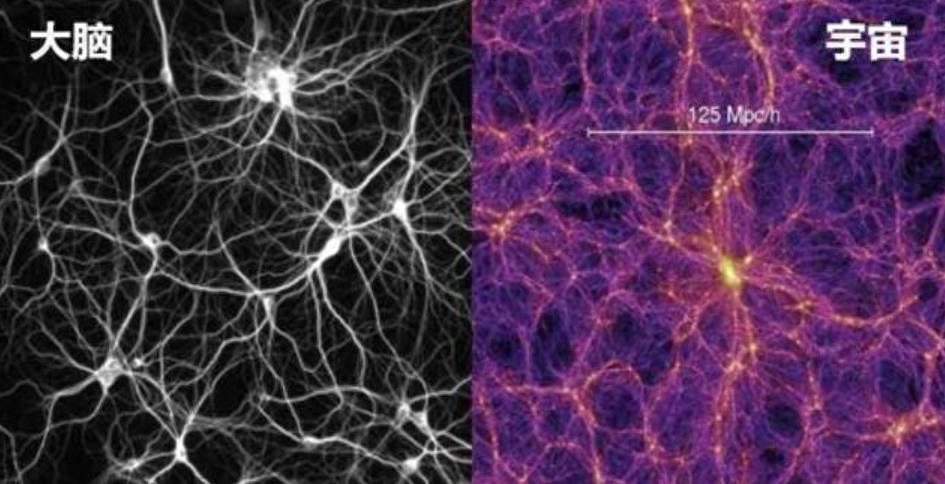 Scientists release a surprising theory: The universe may be a huge ...