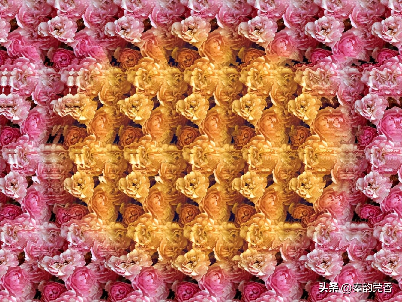 How to see the three-dimensional stereogram?The picture actually hides ...