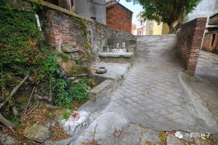 Gaoyao Yayao Village: Baoyafang Zhongshi - iNEWS