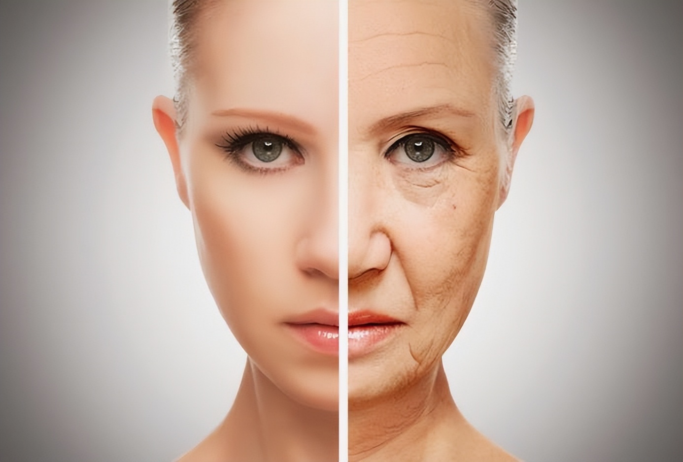 Anti-aging injection boosts monkeys' memory, scientists find - iNEWS