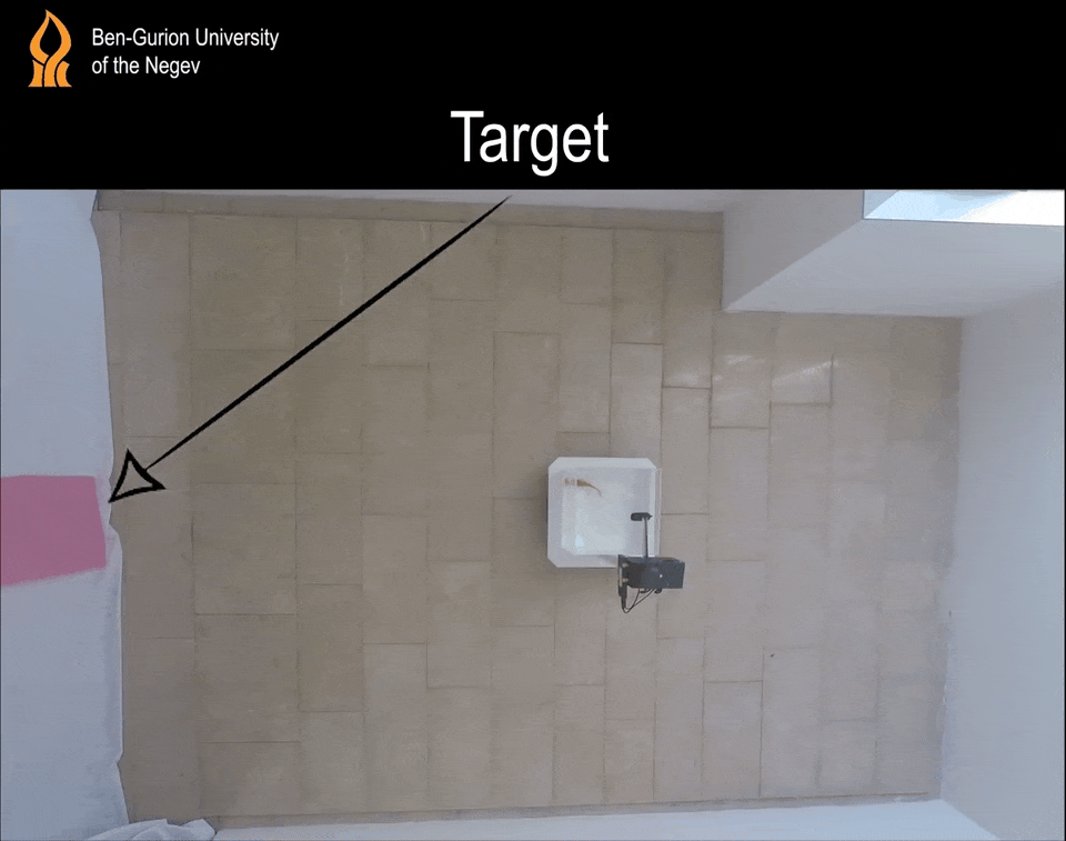 Really superfluous: make a set of exoskeletons for snakes, "realize ...