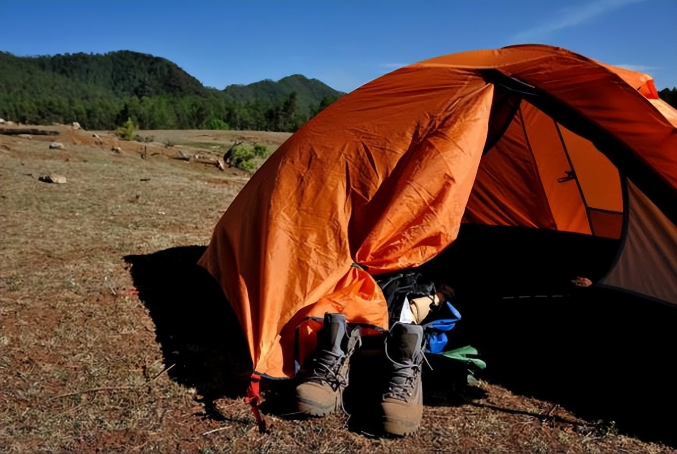 When camping outdoors, donkey friends casually "bastard" regardless of ...