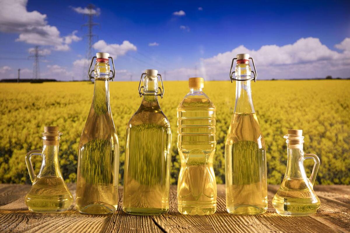 How important are different types of edible oils in daily life? - iNEWS