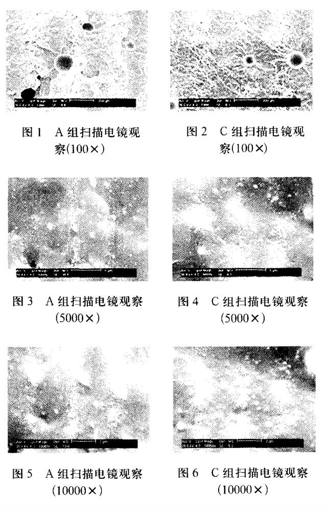 Dispersion and modification of silver-loaded zirconium phosphate in ...