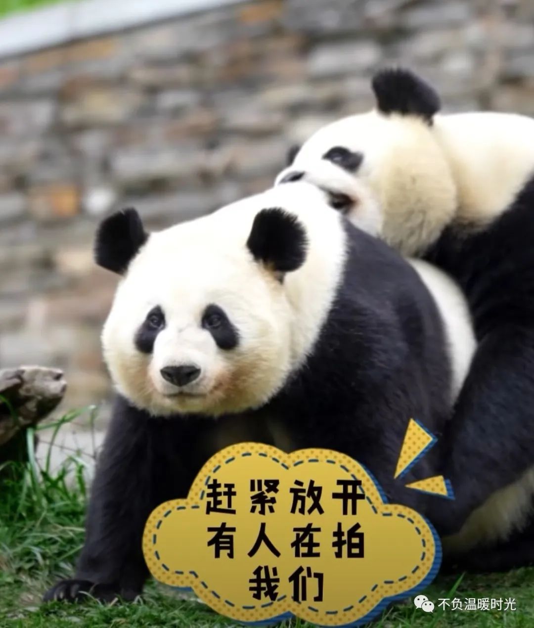 Cao Meimei and Shui Cancan, a pair of good sisters in 2018 - iNEWS