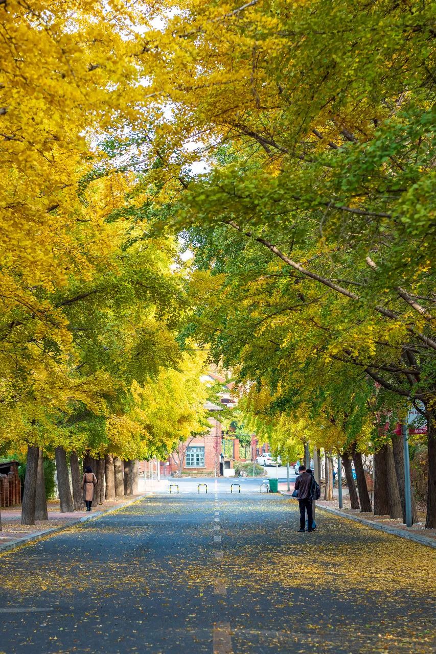 This is the most beautiful place in October - iNEWS