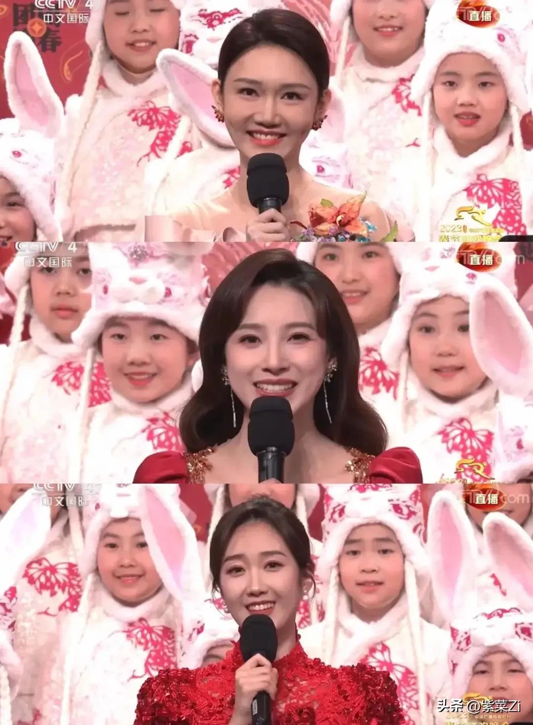 The hostess of the CCTV Spring Festival Gala, all of whom are famous on ...