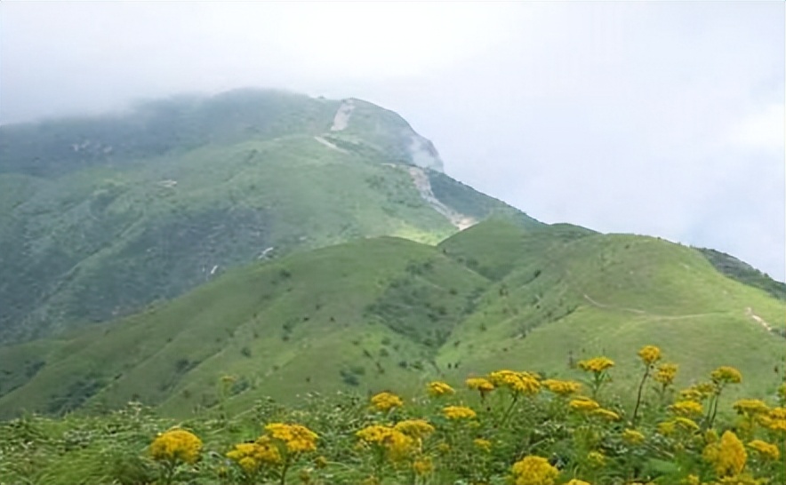 Strange People, Strange Things, Strange Things, Strange Scenery (2) - iNEWS