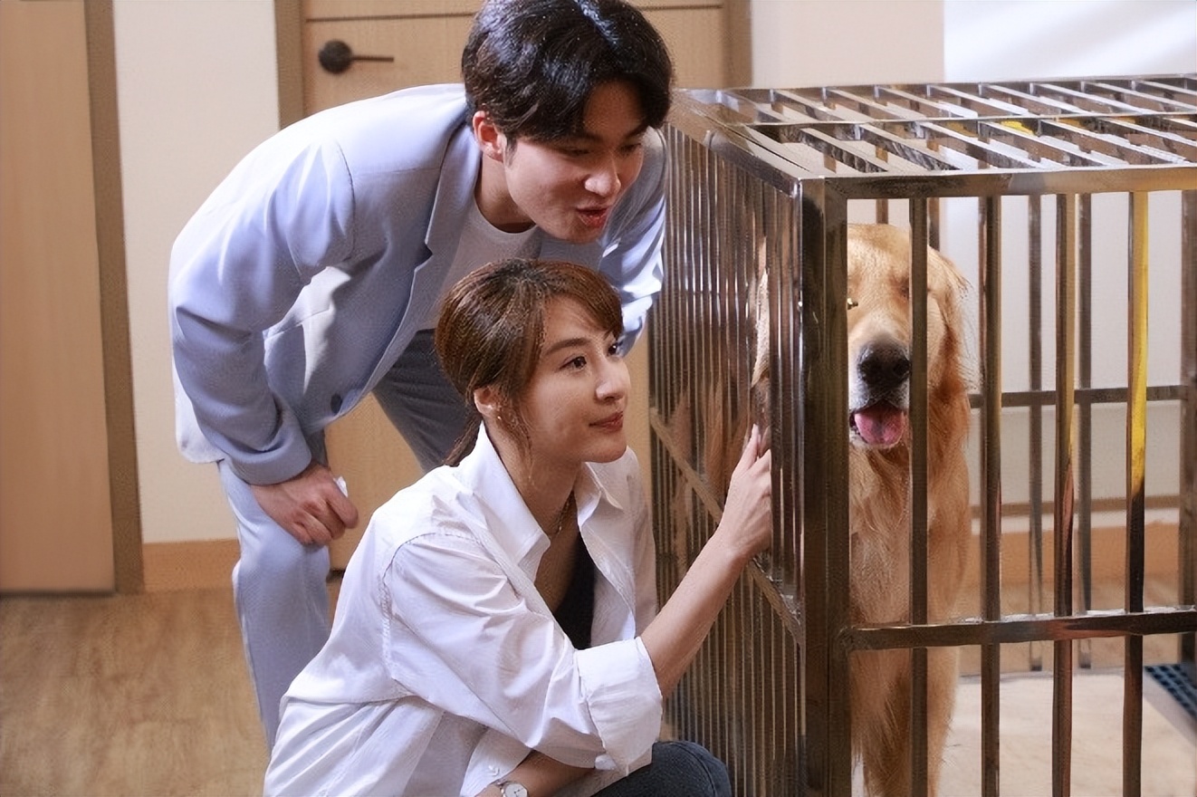 TVB's sweet pet comedy "Love Pet Pet" gathers animals, actor Zhou ...