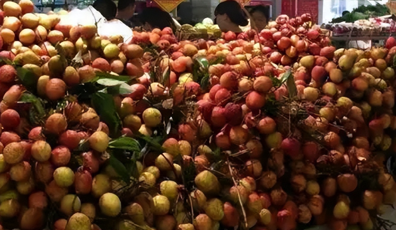 Signed a lychee cooperation with Vietnam, but the country was very ...