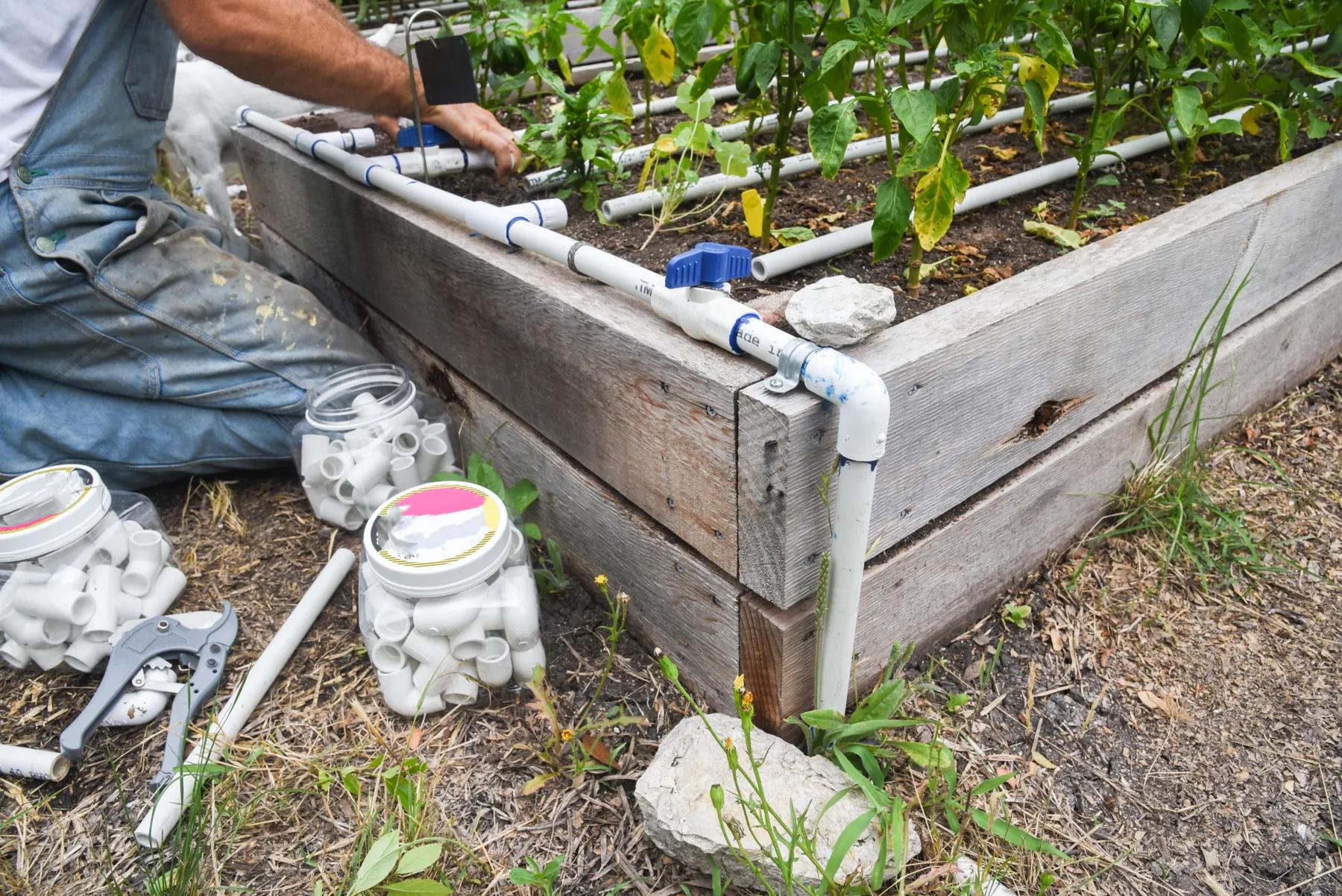The pvc pipes are spliced into a grid to lay the vegetables in the ...