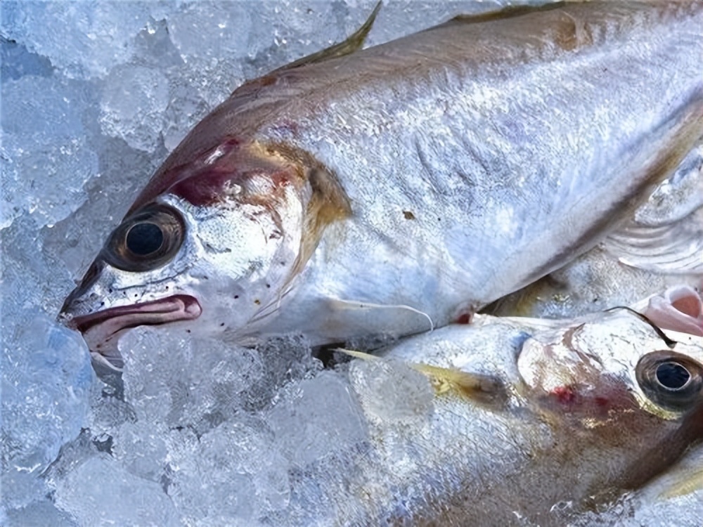 Thawed fish should not be soaked in water. The people on the beach ...