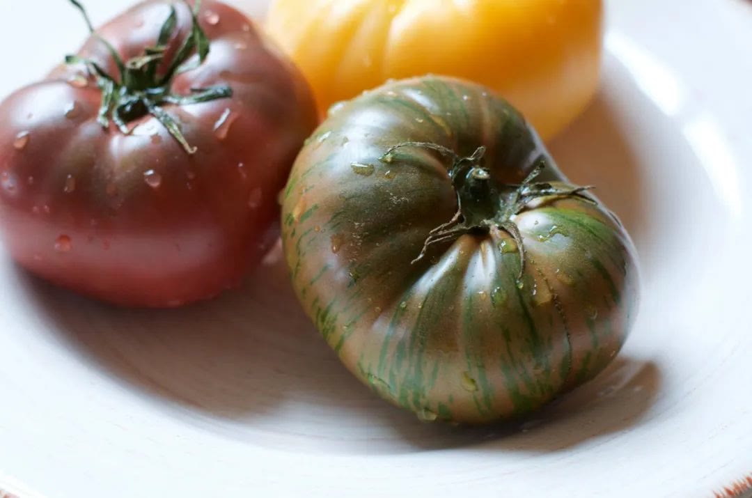 Why are tomatoes not as tasty as they used to be? - iNEWS