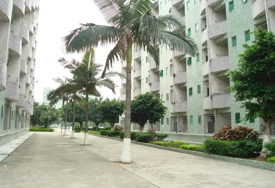 How about Shenzhen Shajing Dechang Motor Factory?How is the food and ...