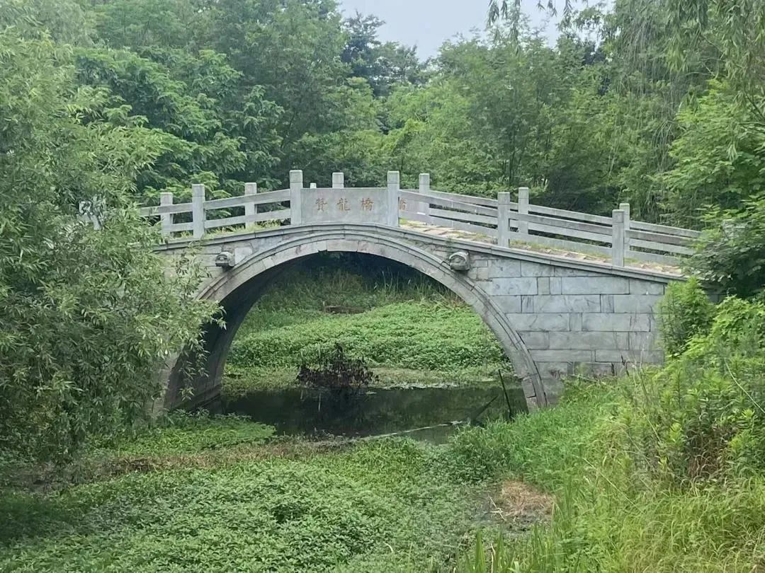 The two places of Tianwang are listed in Jurong City's 2023 Place Name ...