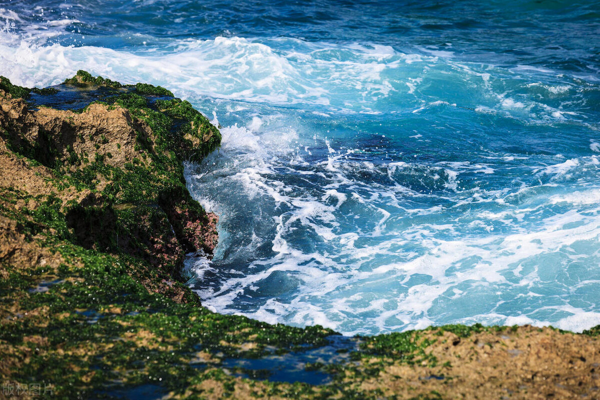 The woman bought a small island of 700,000 square meters and has since ...