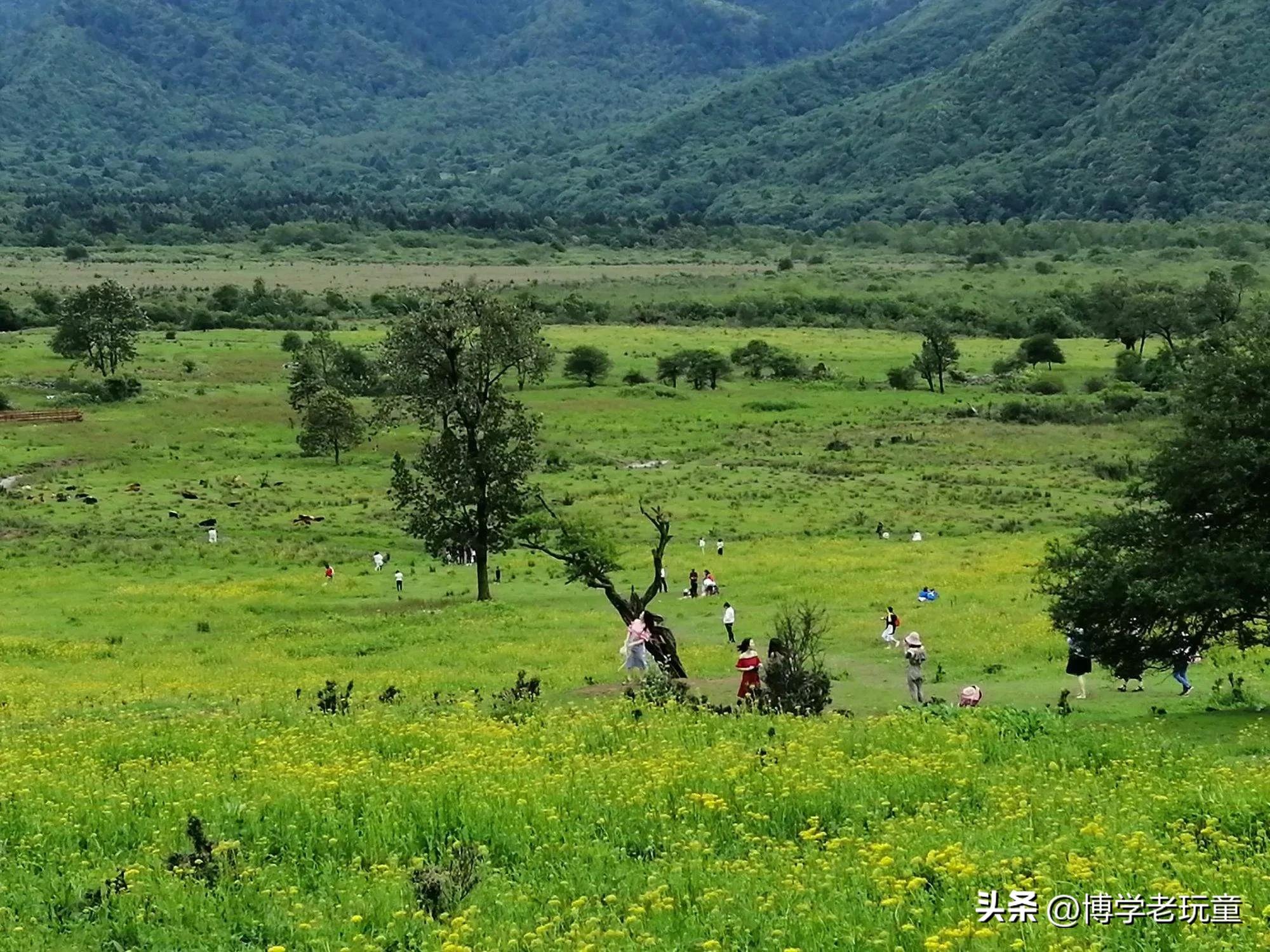 Menghuo City Tourism - iMedia