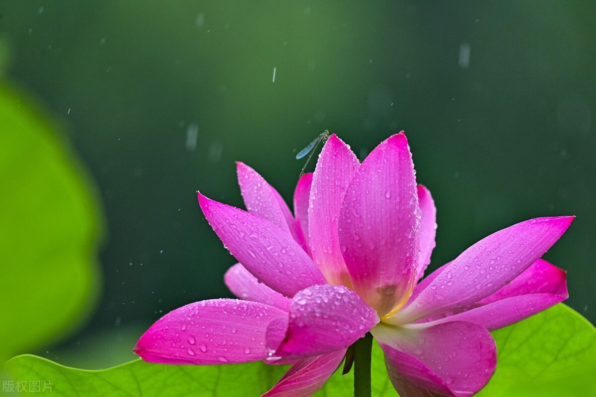 Who is the noble person in Zhang Youyi's life? - iMedia