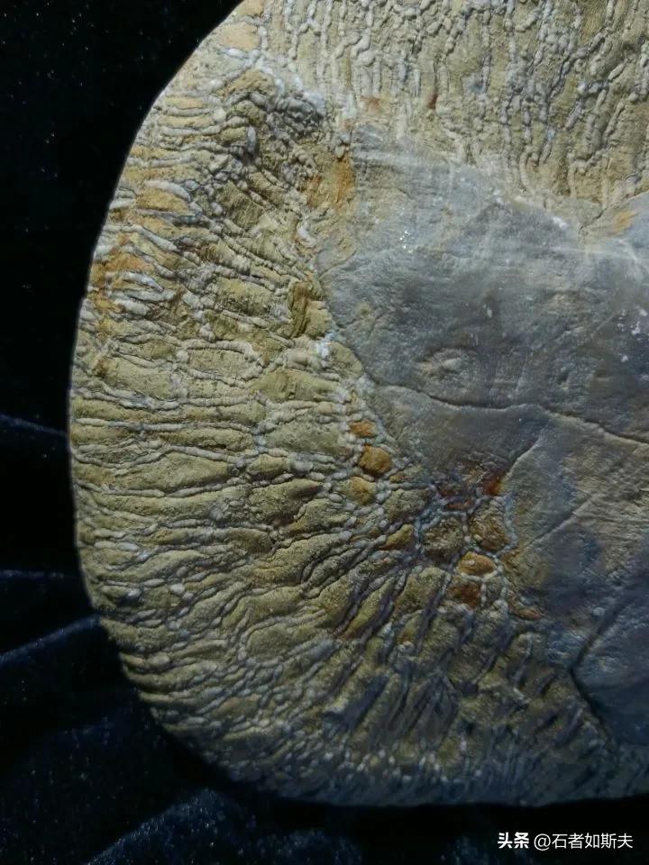 Heroes from the Rock (6) Xianli - iNEWS