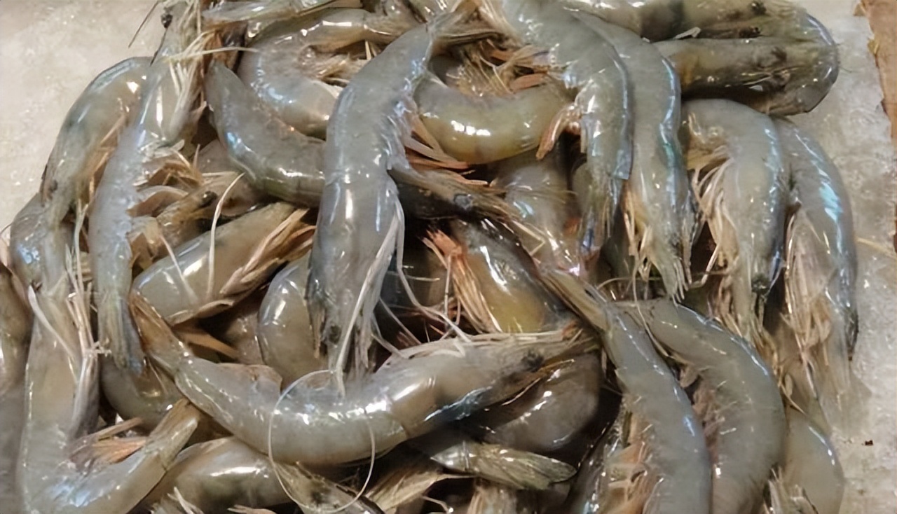 When buying prawns, should you choose "straight" or "bent"? Seaside ...