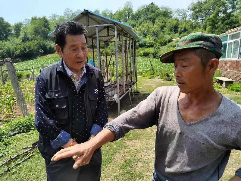 In the early summer, the historical relics in Manxiang were inspected ...