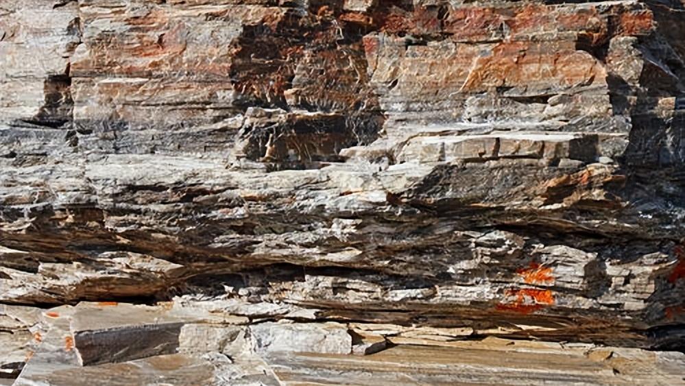 The tectonic evolution of the Ordos Basin, its importance to resource ...