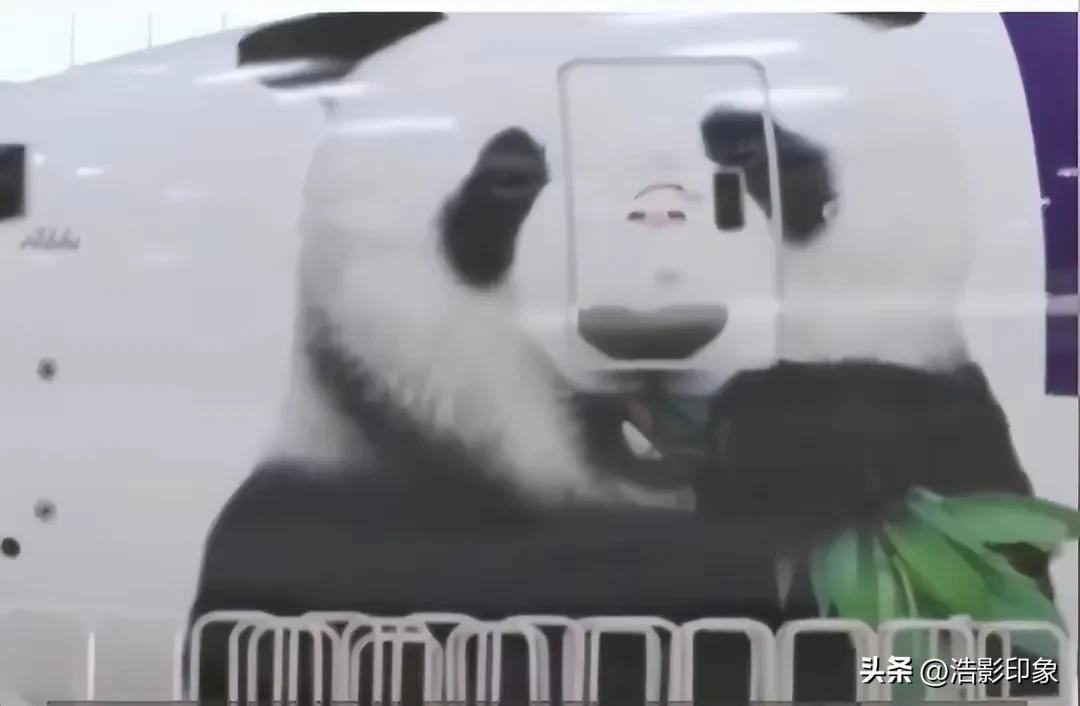 Yaya, the giant panda in the United States, finally returned to China ...