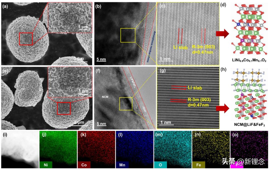 Thermodynamically stable dual-modified LiF and FeF layers enable ...