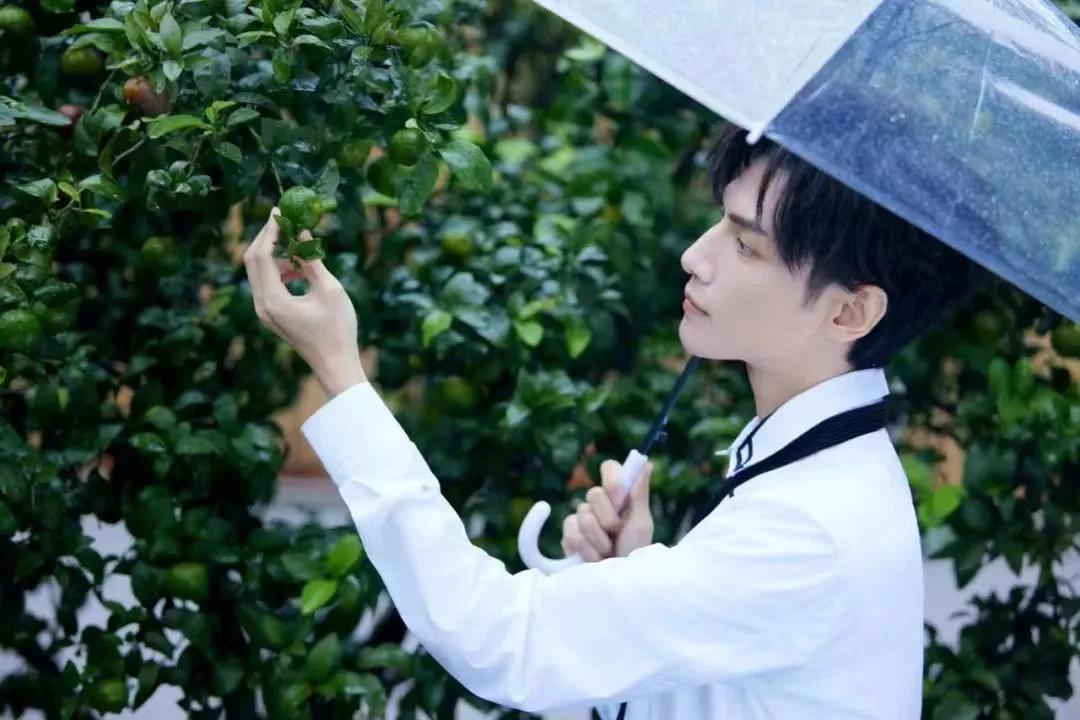 Summary of eating melons 75th bullet: Liu Yuning, Li Xian, Yang Yang ...