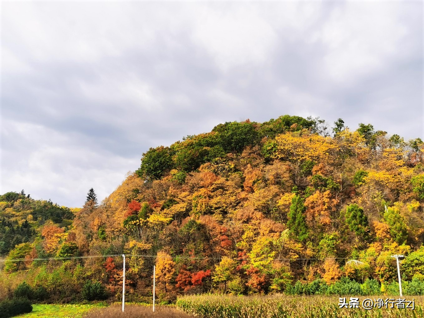 "Travel Notes" From the Tumen River to the Yalu River Border City (8 ...