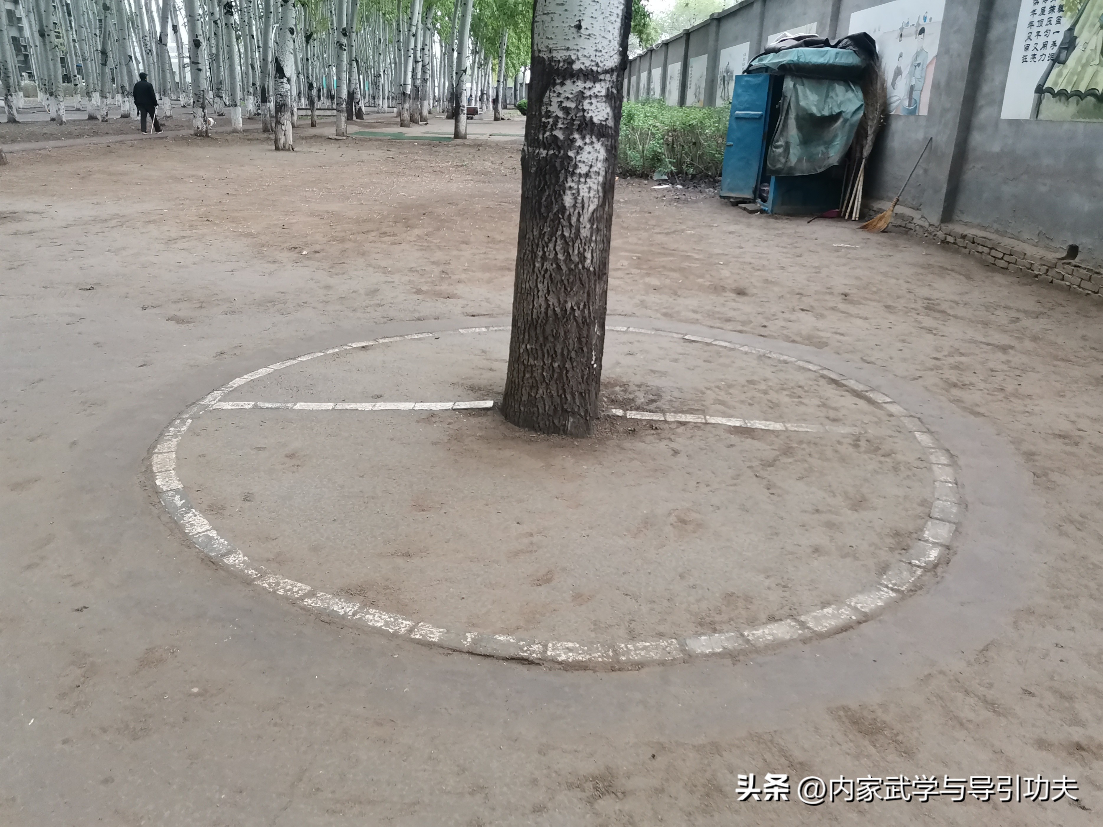 Qingfeng talks about exercise: starting from losing 10 catties in half ...